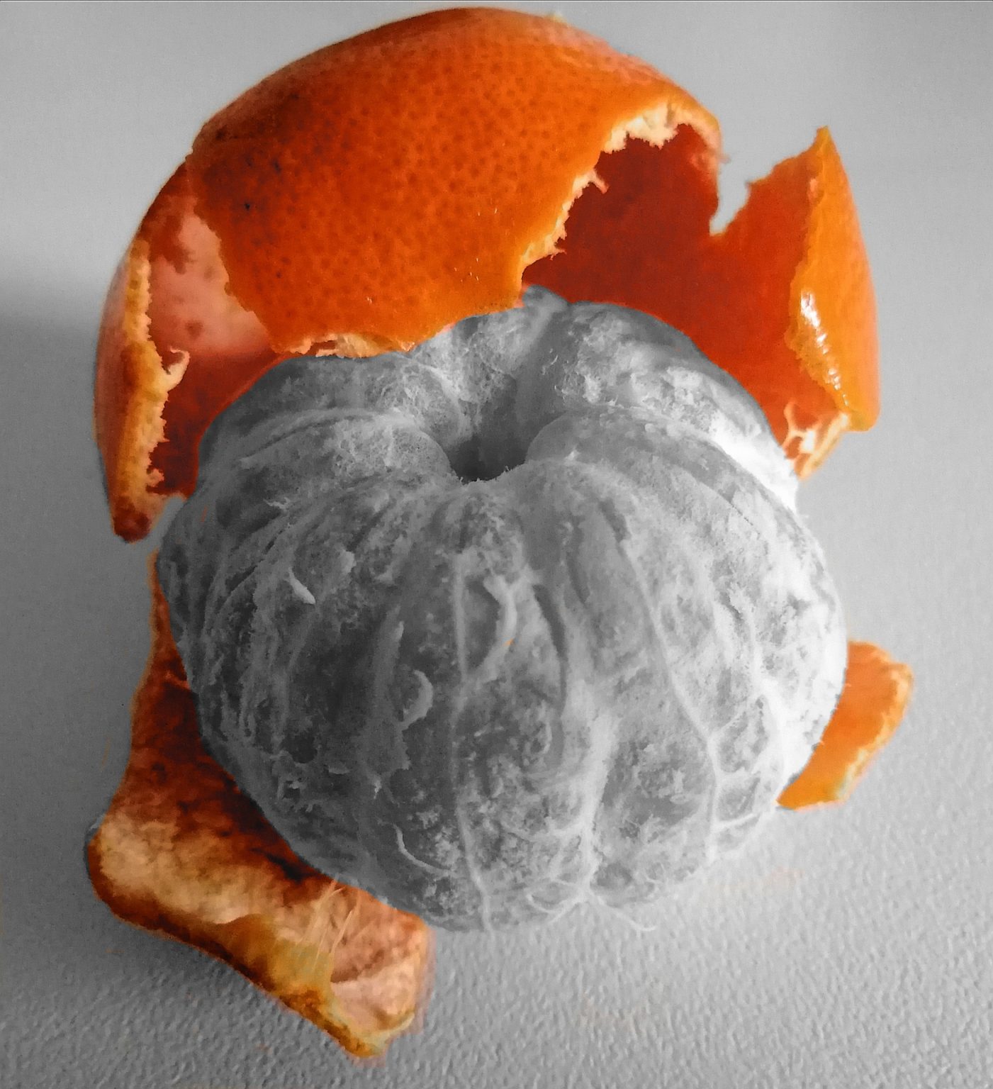 Luis Ceballos da el salto de Instagram al Parlamento con su primera ...